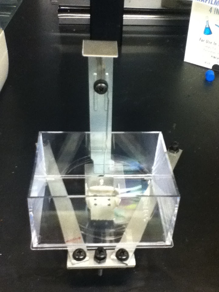 FEI's Junkyard: Archimedes Density Tester